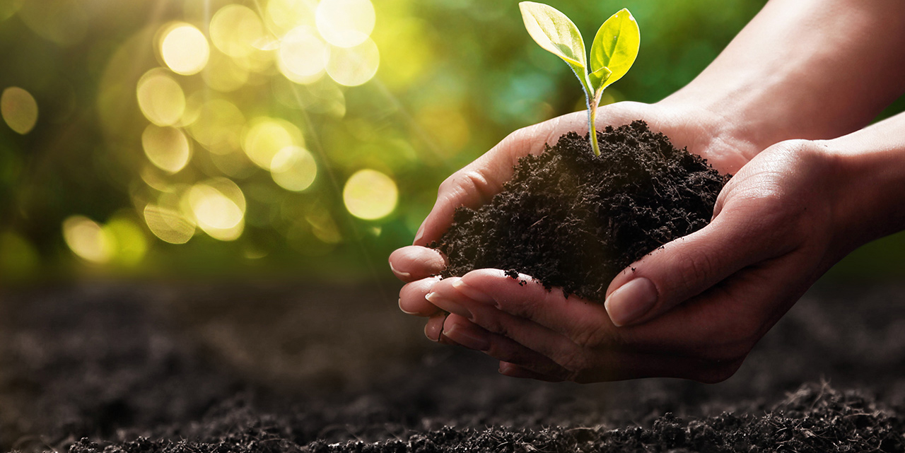 About Us - ORGANICPROTEIN